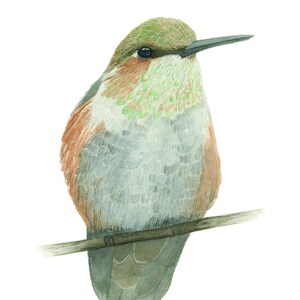 Hummingbird Card, Watercolour Painting Art - Etsy