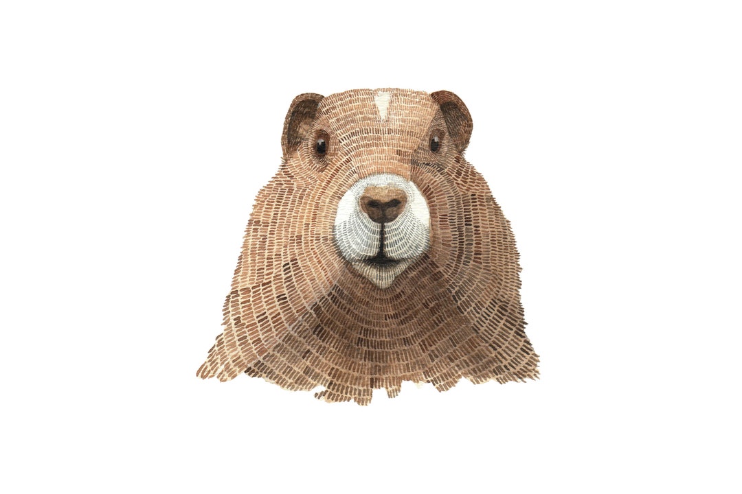 Marmot Art Print, Watercolour Animal Painting - Etsy