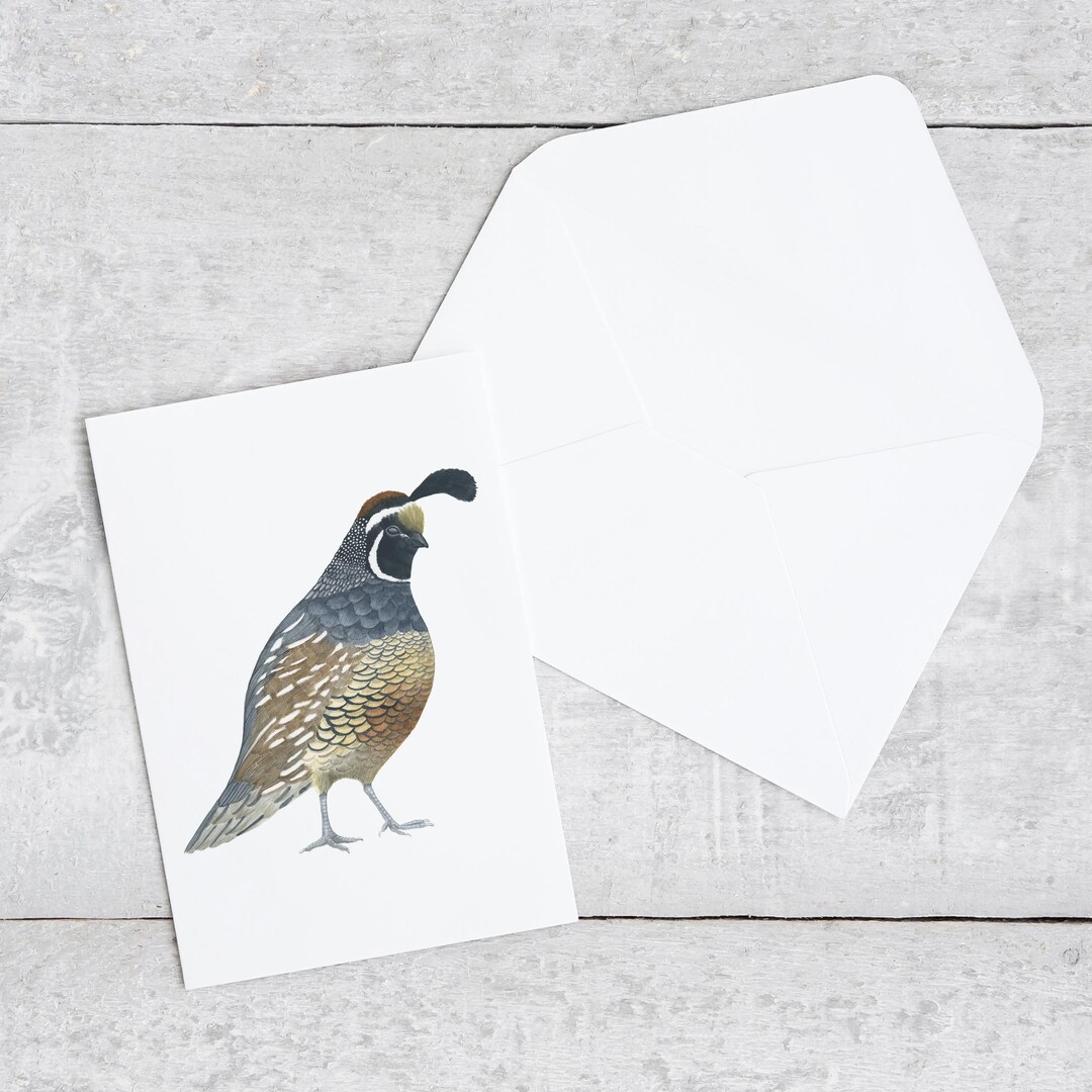 Quail Card, Watercolour Painting Art - Etsy