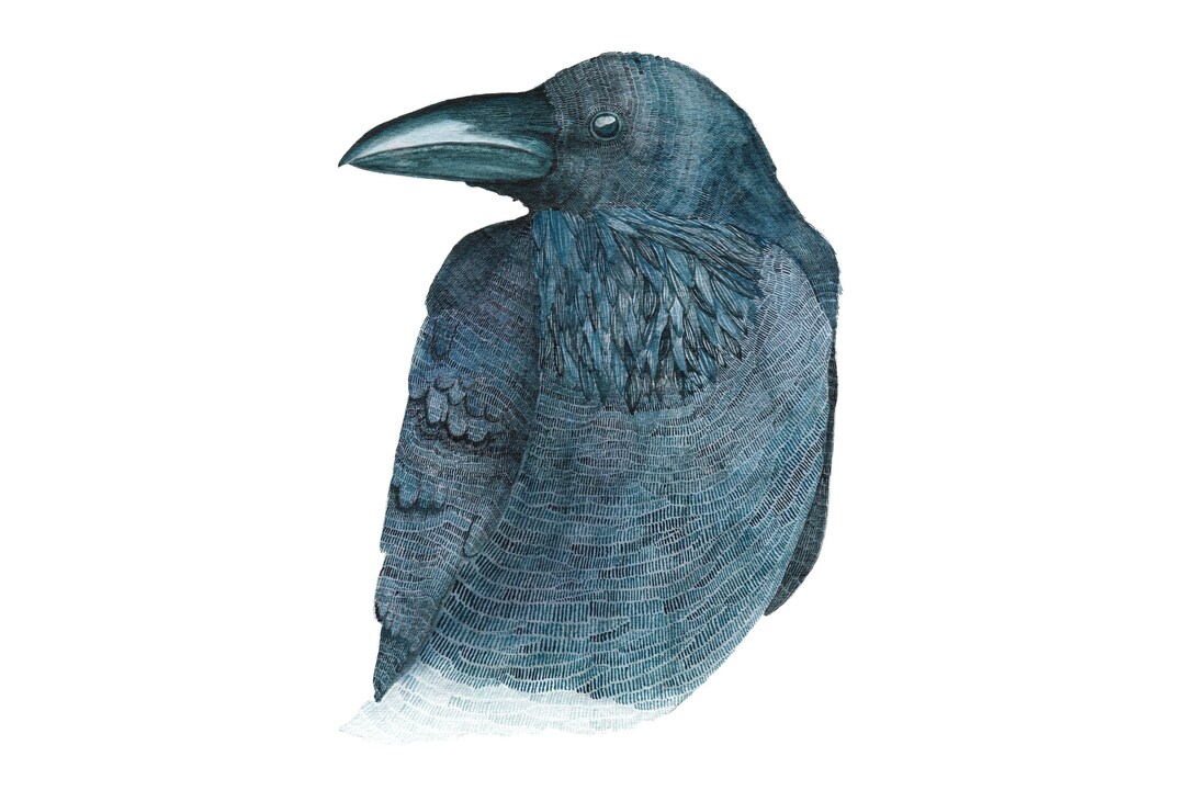 Raven Art Print, Watercolour Bird Painting - Etsy