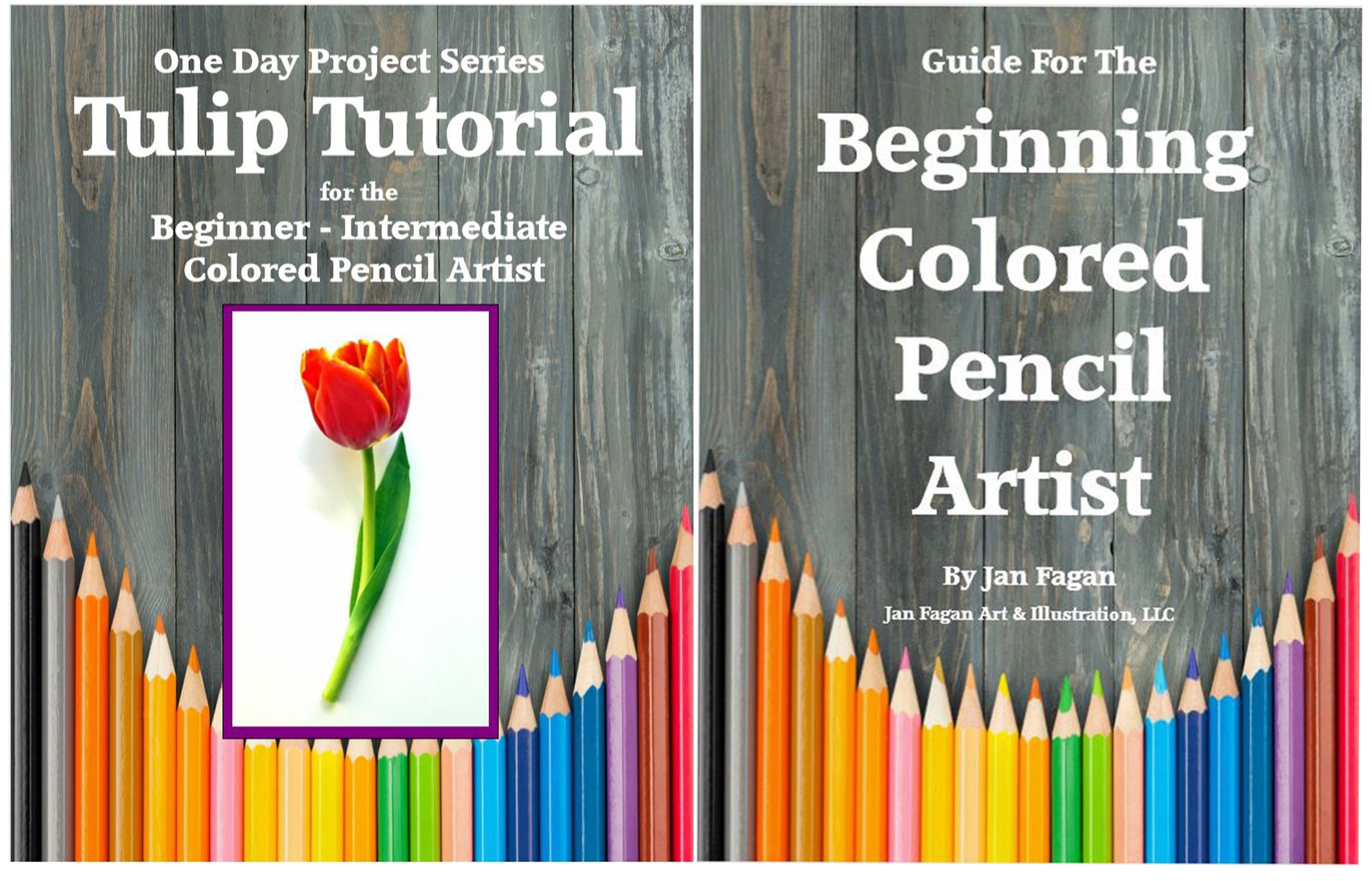 Colored Pencil Guide Tulip Tutorial Digital Download Art - Etsy