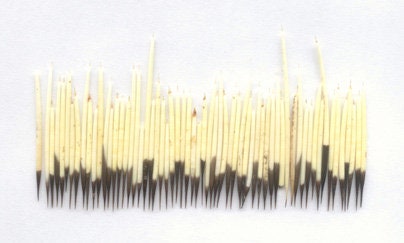 American porcupine quills quill body jewelry septum spike | Etsy