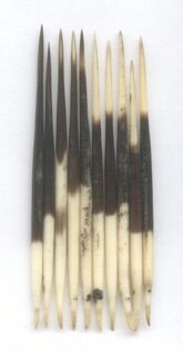 African Porcupine Quills, Long Quill, Hairstick, Body Jewelry, Septum ...