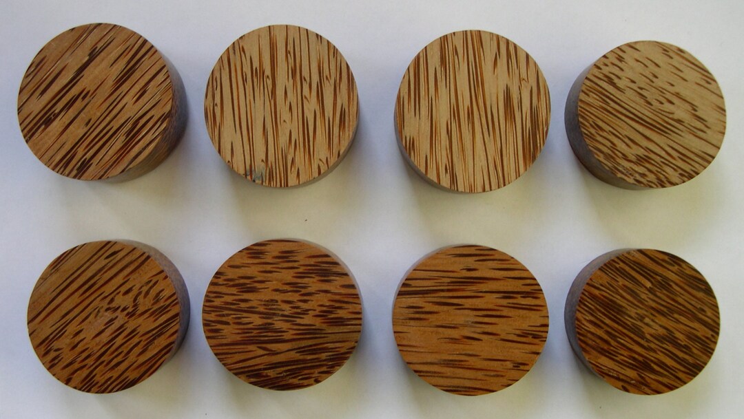 Coconut Wood Cylinders Large Disks Boxes One Side Hollow - Etsy