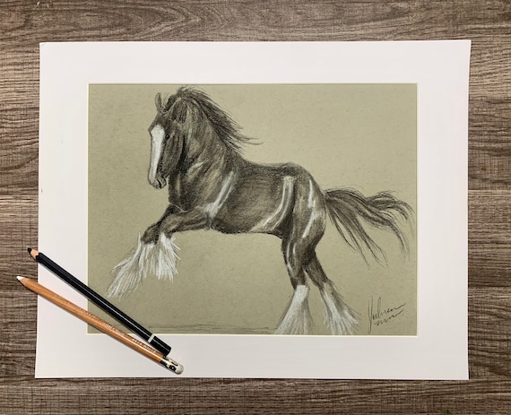 Clydesdale Horse Drawing