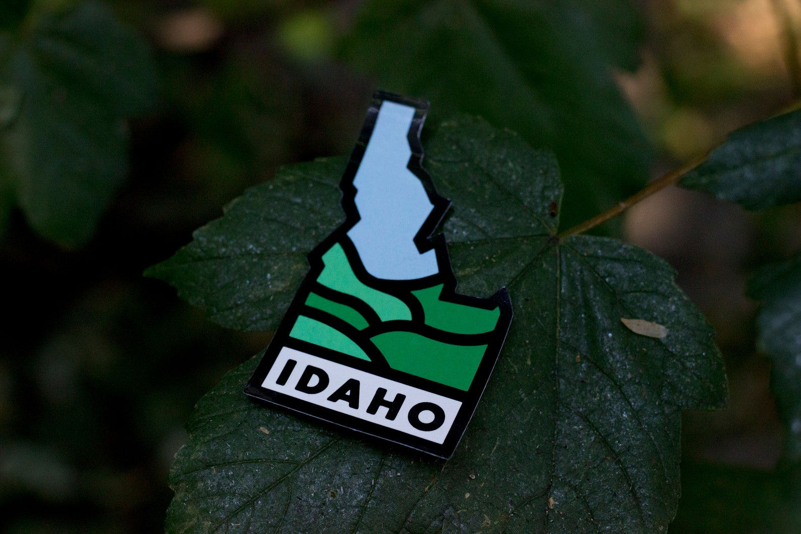 Idaho Vinyl Sticker Vinyl Decal Idaho Decal Outdoor | Etsy