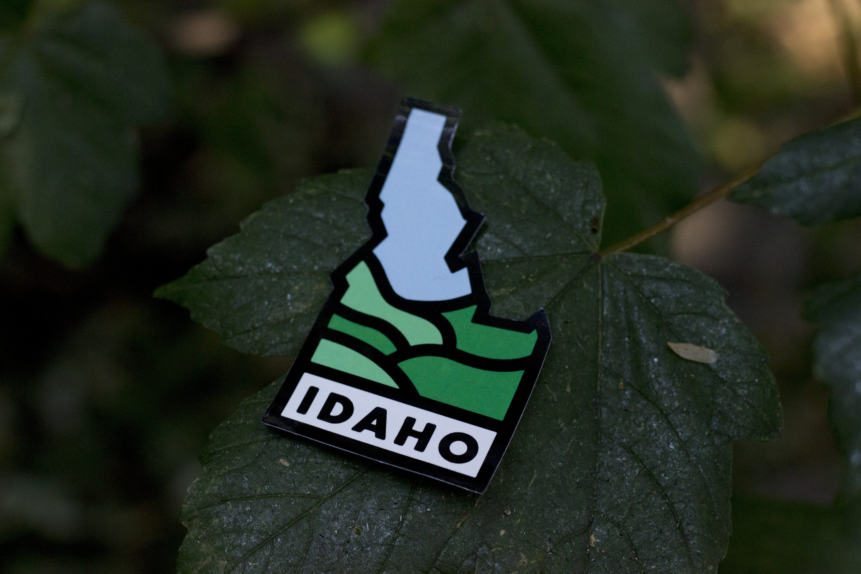 Idaho Vinyl Sticker Vinyl Decal Idaho Decal Outdoor | Etsy