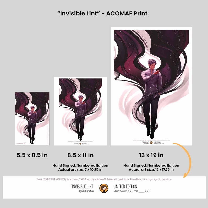 Invisible Lint ACOMAF Officially Licensed Print pre-order - Etsy