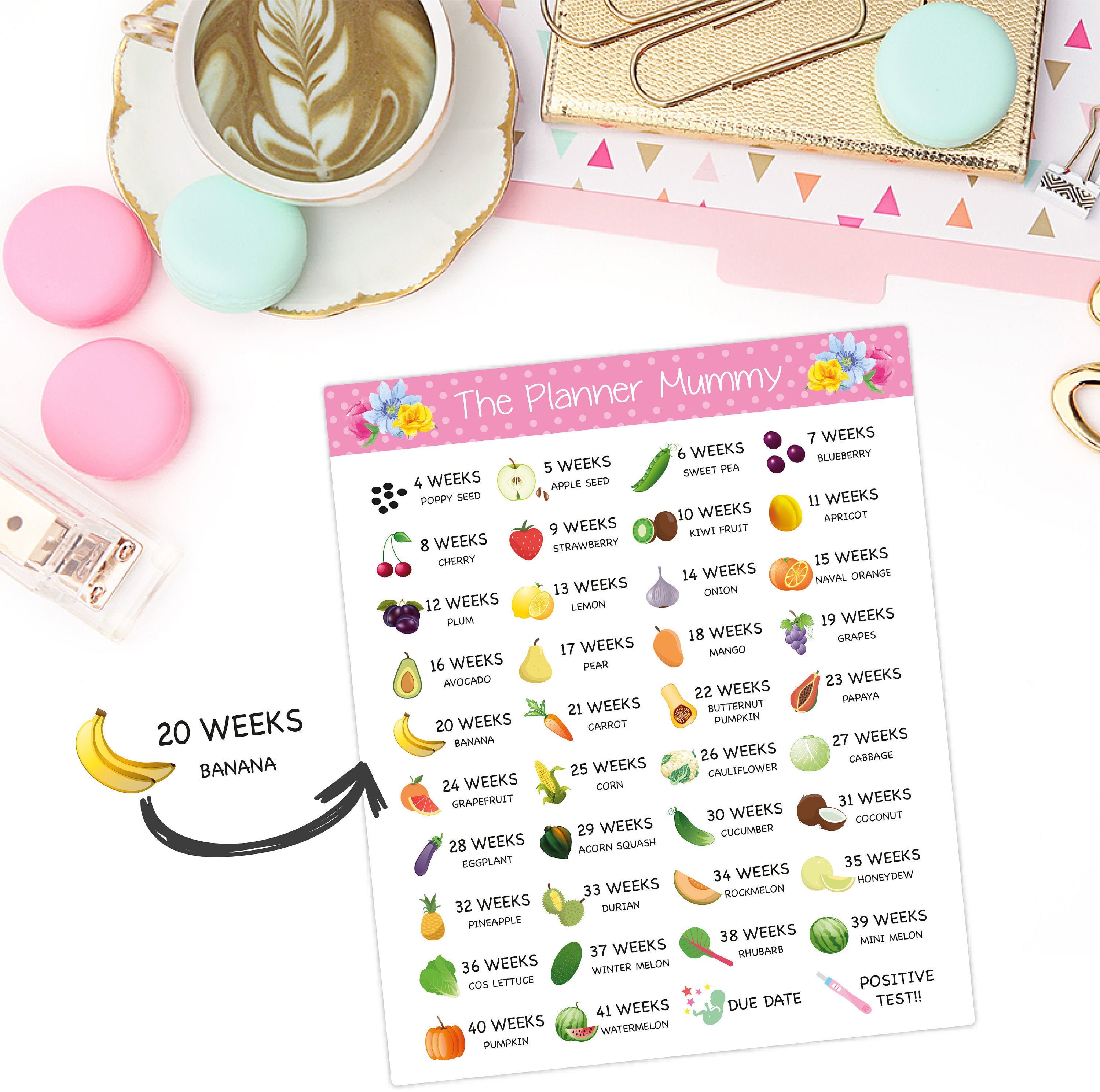 Pregnancy Count down gift for mom to be Teal Baby Tracker Planner ...