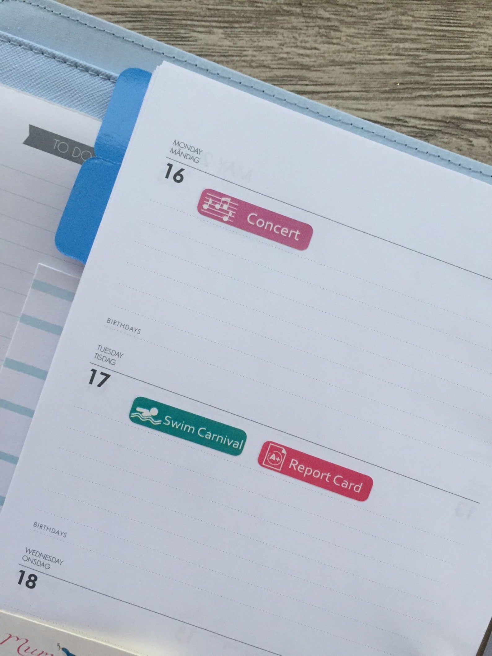 36 X School Term Events Exam Excursion Book Week Carnival - Etsy