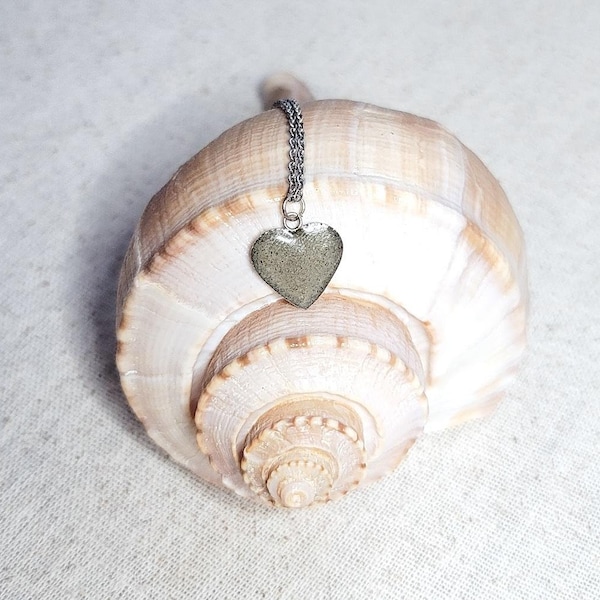 Pawleys Island Shell - Etsy