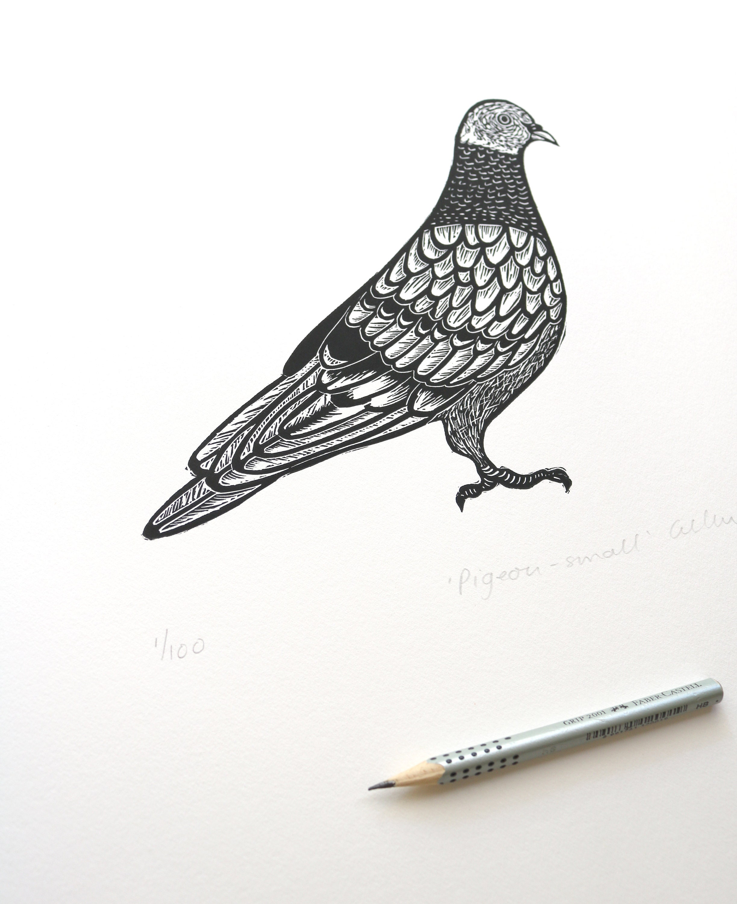 Pigeon Small Lino Print Linocut Printmaking Limited Edition Bird - Etsy