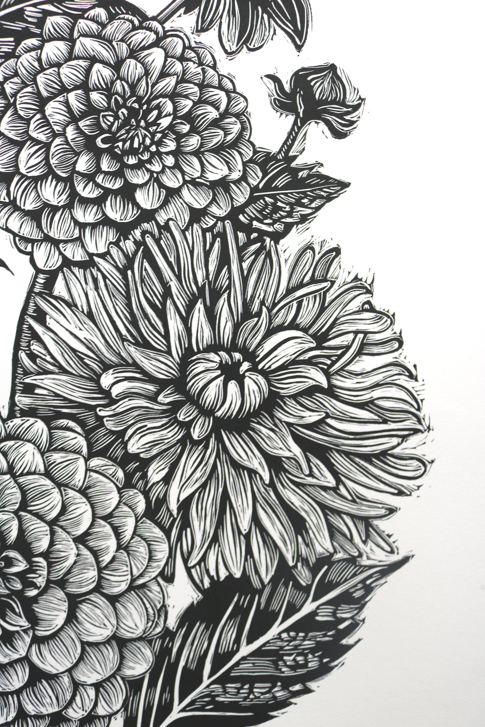 Dahlias Flower Lino Print Relief Cut Handmade Limited Edition Botanical ...