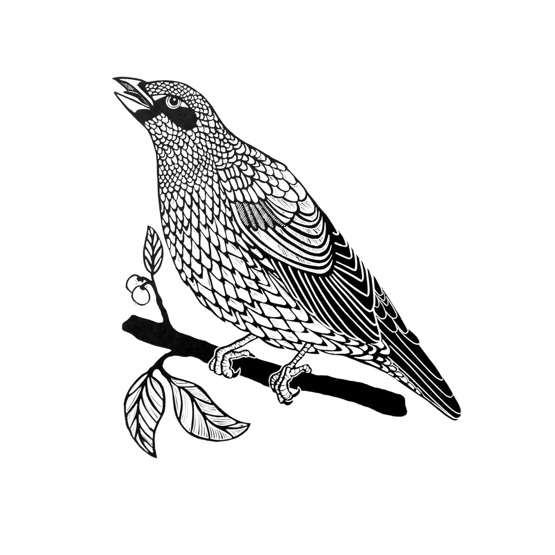 Songbird - Original Lino Print, Limited Edition, Bird, Artwork ...