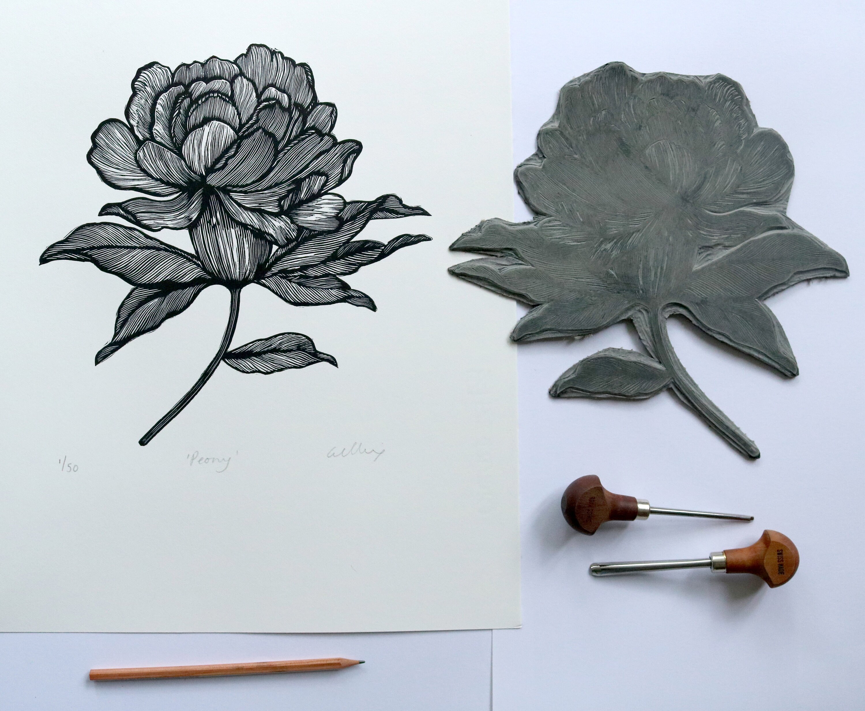 onlinestore buying Peony Rose Flower Flower Botanical Illustration Lino ...
