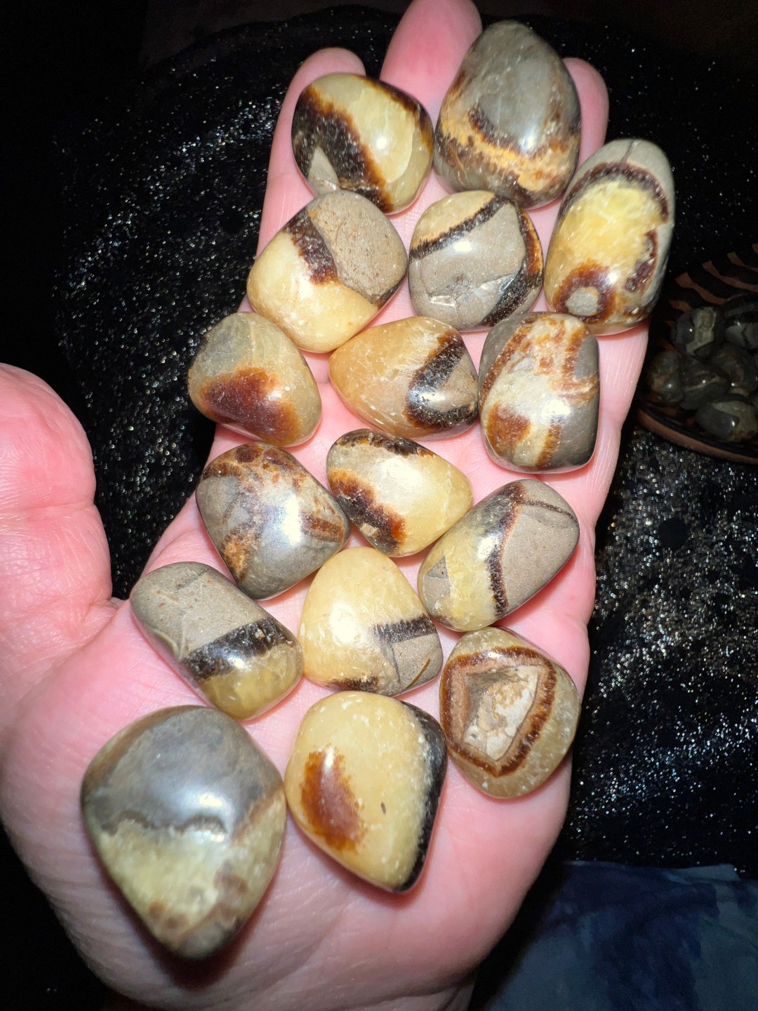 Tumbled Septarian Stone - Etsy