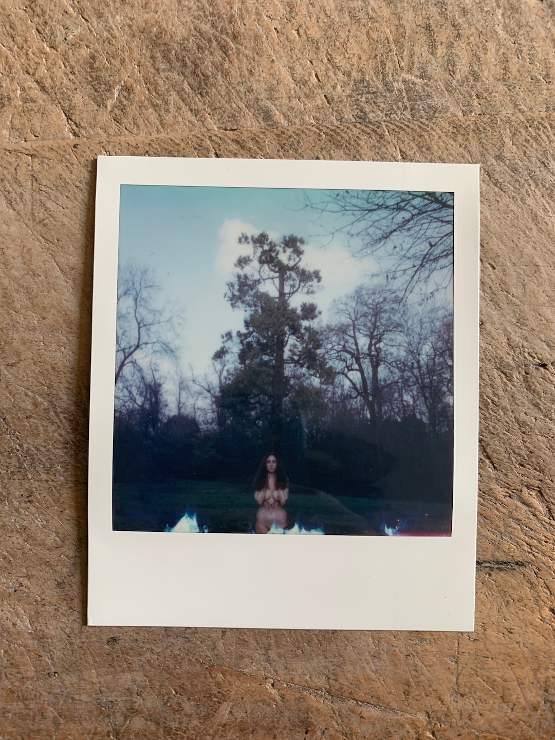 Polaroid Tree - Etsy