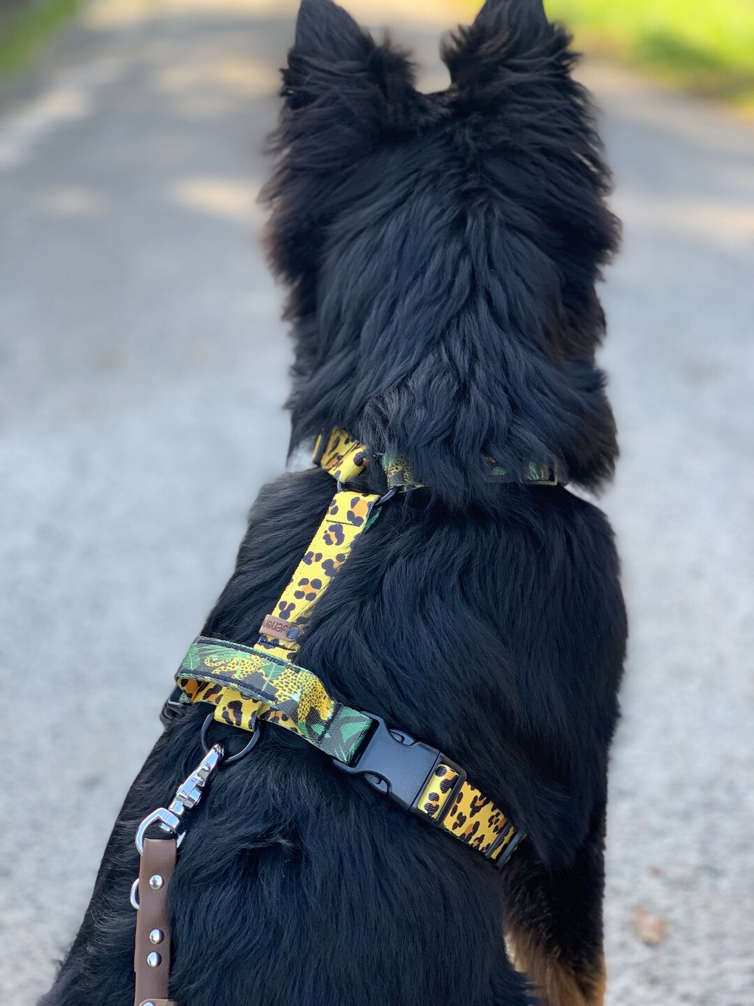 Leopard Print and Jungle Dog Harness Adjustable - Etsy