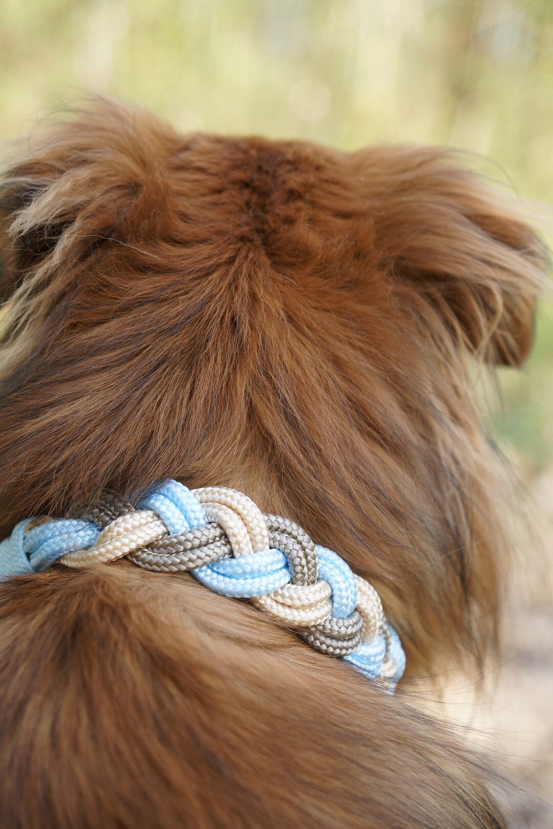 Customizable Rope Dog Collar / Adjustable / Biothane / Outfit for Dog ...