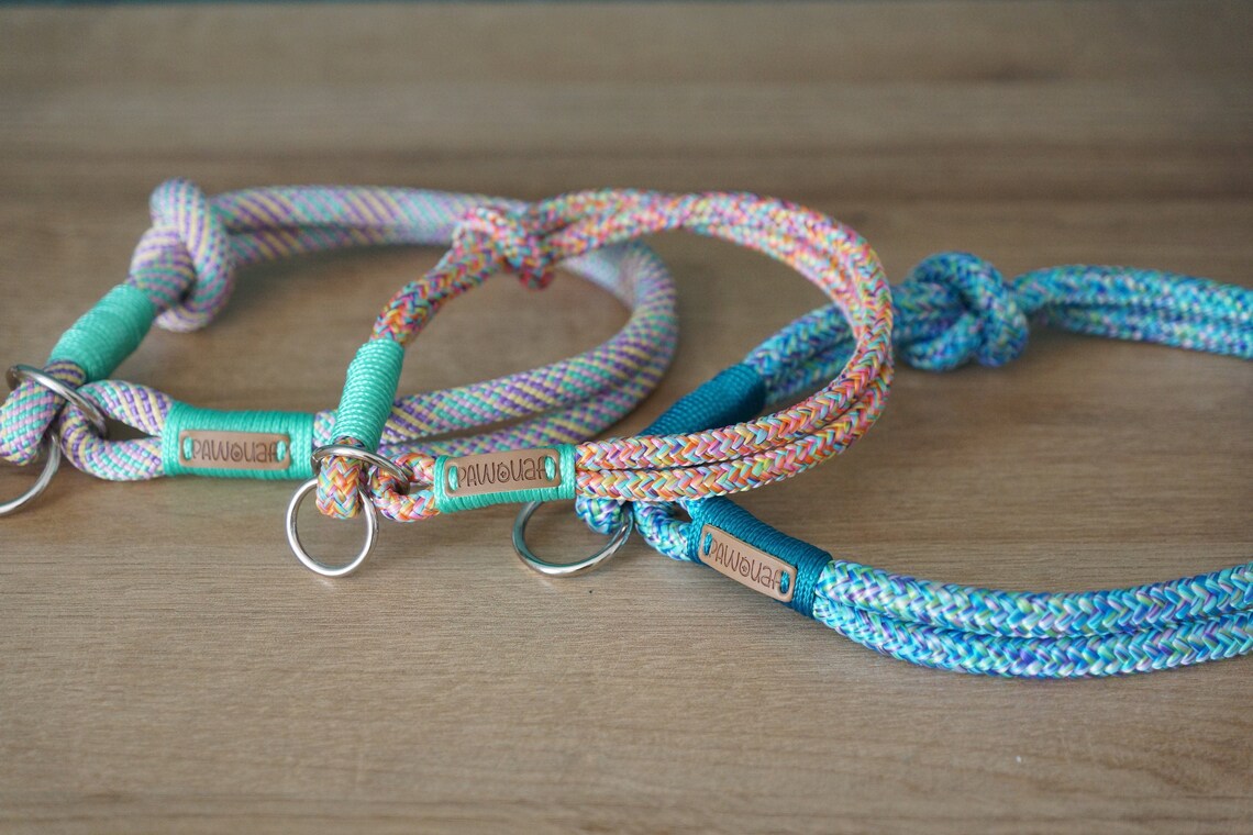 Collier chien lasso réglable coulissant / chiens poils | Etsy