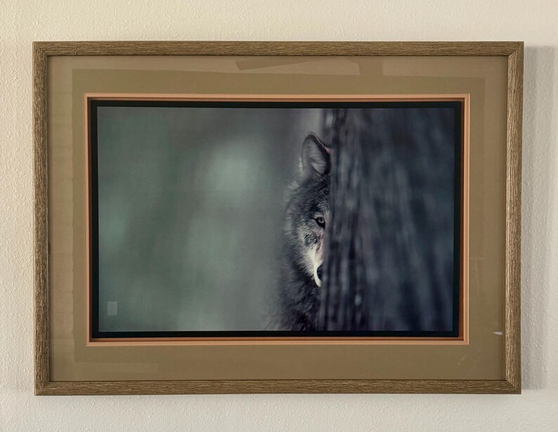 Jim Brandenburg Gray Wolf Nice Wood Framed - Etsy