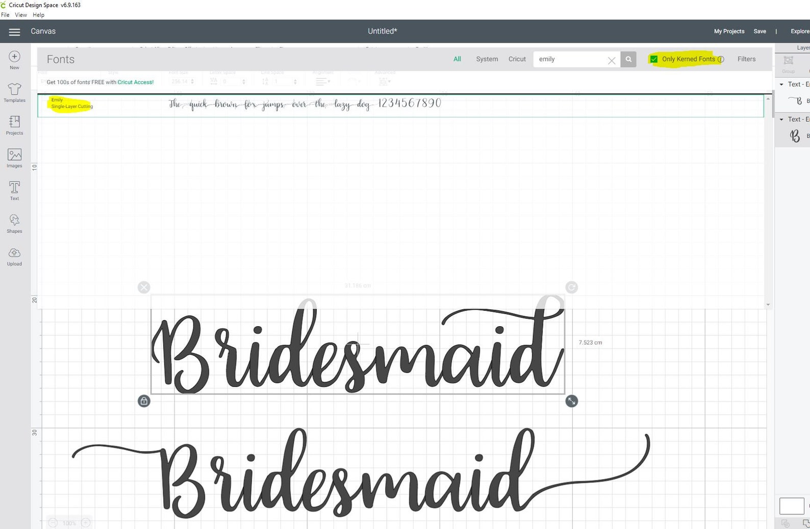Cricut Long Tail Cursive Font Emily Digital Long Tail Font | Etsy Australia