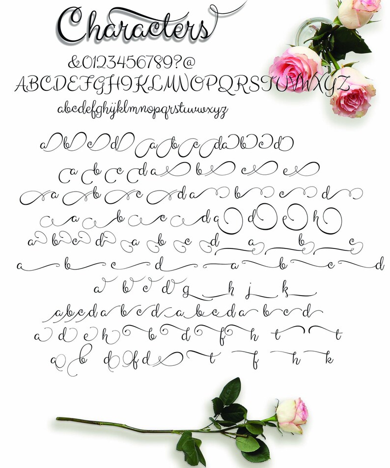Calligraphy Swirly Font Script Font Digital download swash | Etsy Calligraphy Swirly Font Script Font Digital download swash | Etsy