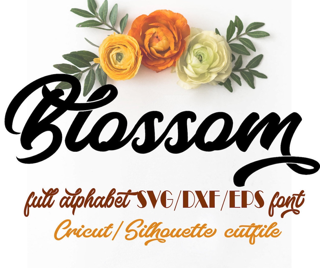 Swirly Script Font: Full Alphabet SVG, Cricut Silhouette (digital ...