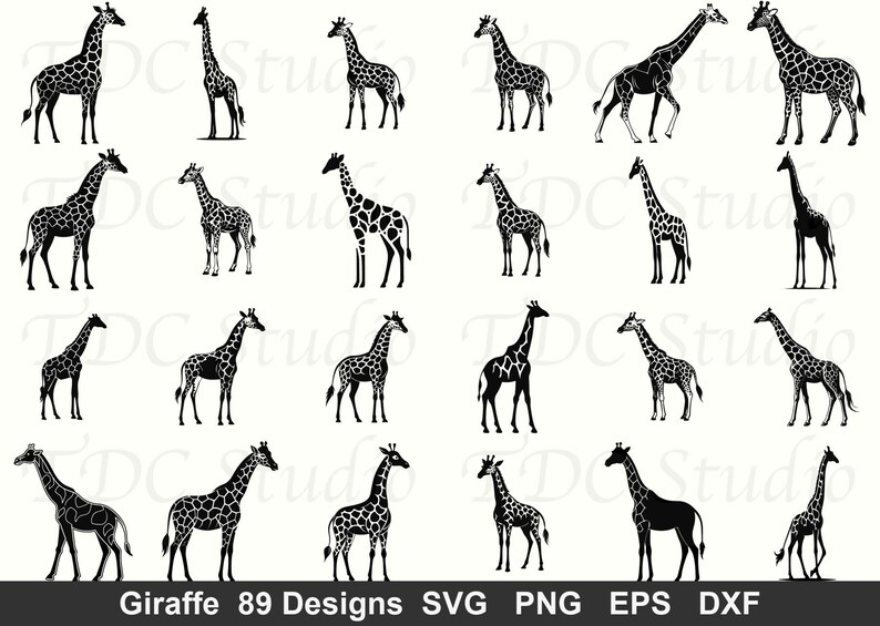 Giraffe SVG Bundle (89 Designs) – Safari Animal Silhouette PNG, Tall ...