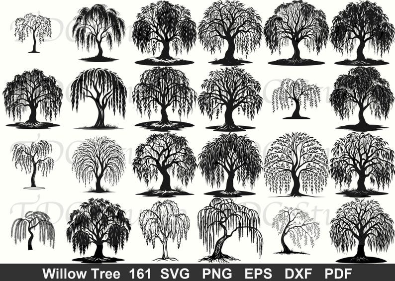Willow Tree SVG Bundle | 161 Designs | Tree Silhouette SVG | Nature Cut ...