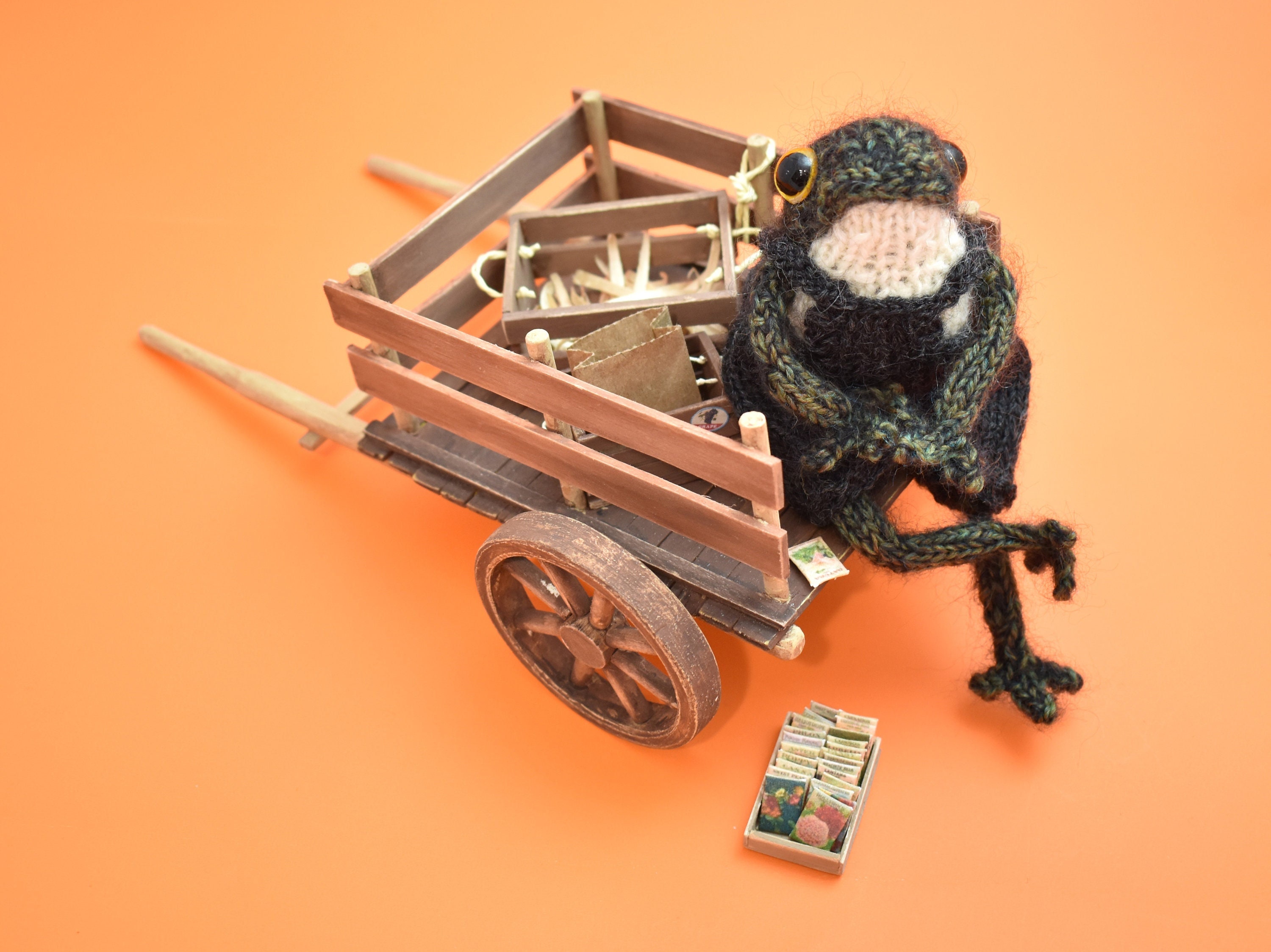 Mr. Hopper the Knitted Frog - Etsy