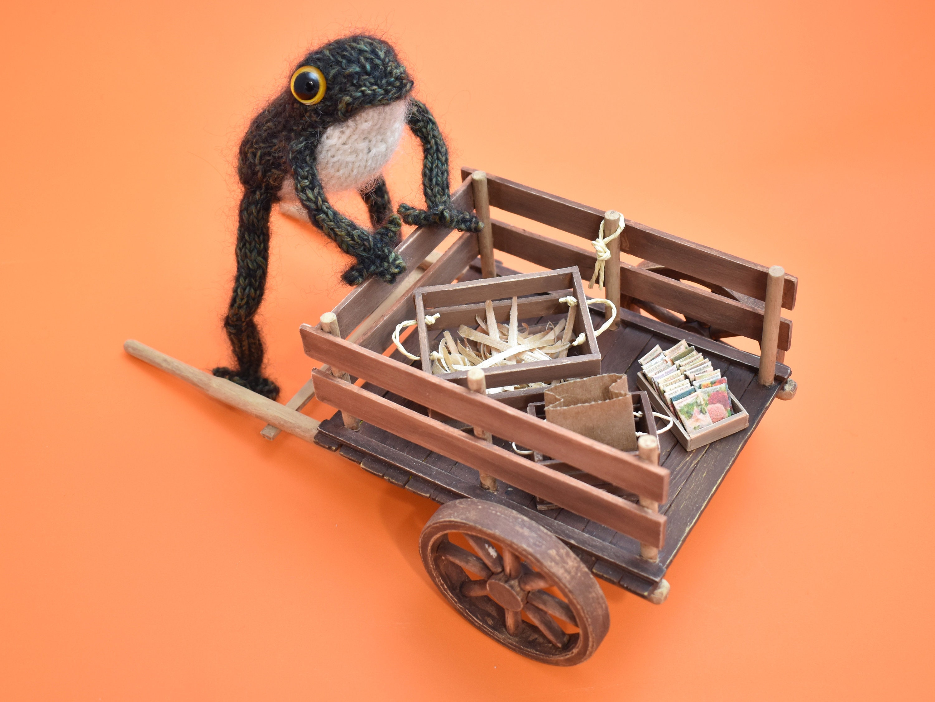 Mr. Hopper the Knitted Frog - Etsy