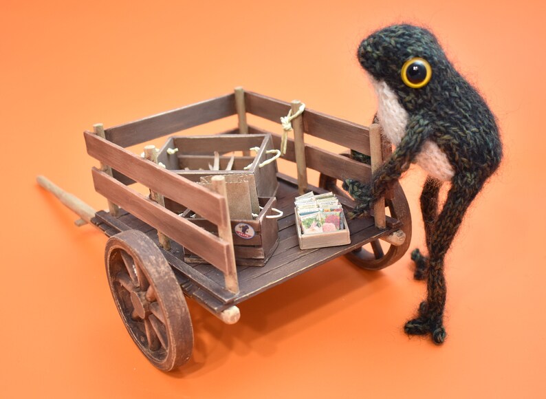 Mr. Hopper the Knitted Frog - Etsy