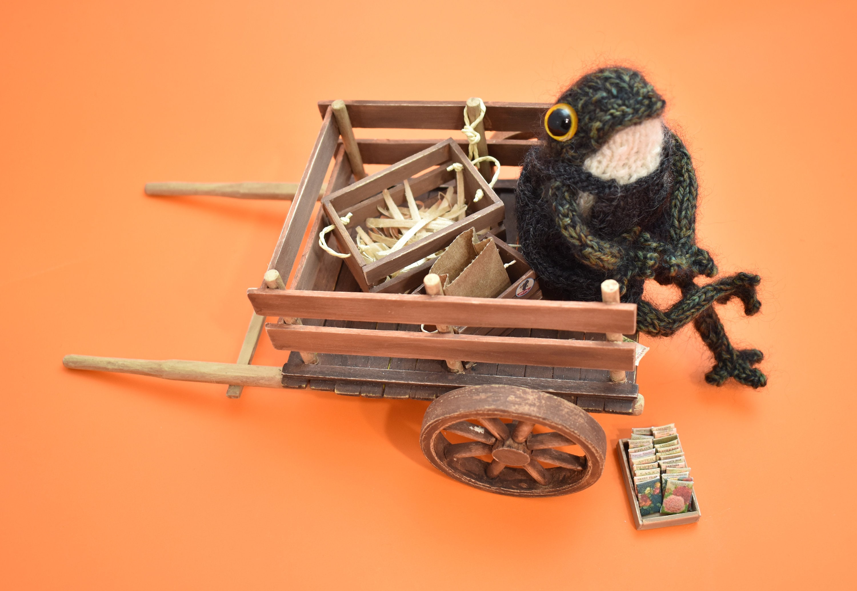 Mr. Hopper the Knitted Frog - Etsy