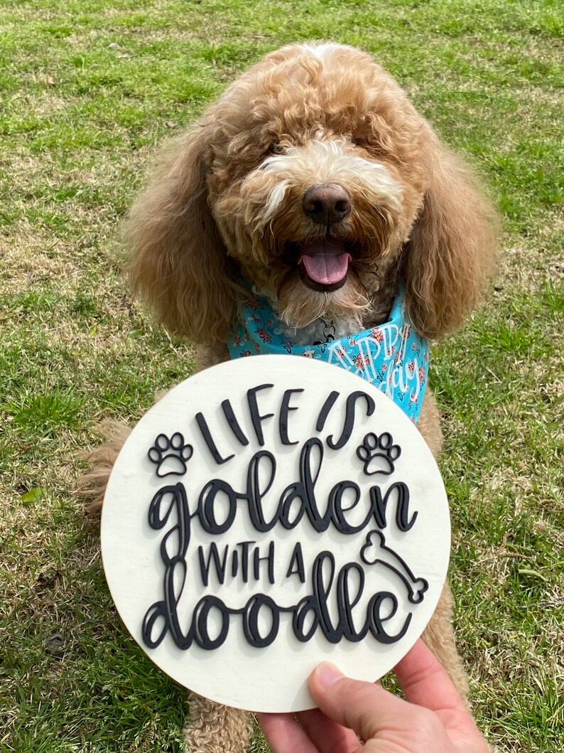 Life is Golden With a Doodle 3D Sign Goldendoodle Sign - Etsy