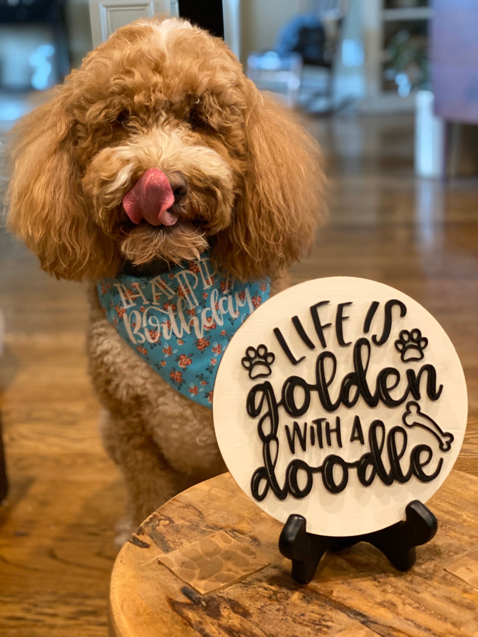 Life is Golden With a Doodle 3D Sign Goldendoodle Sign - Etsy