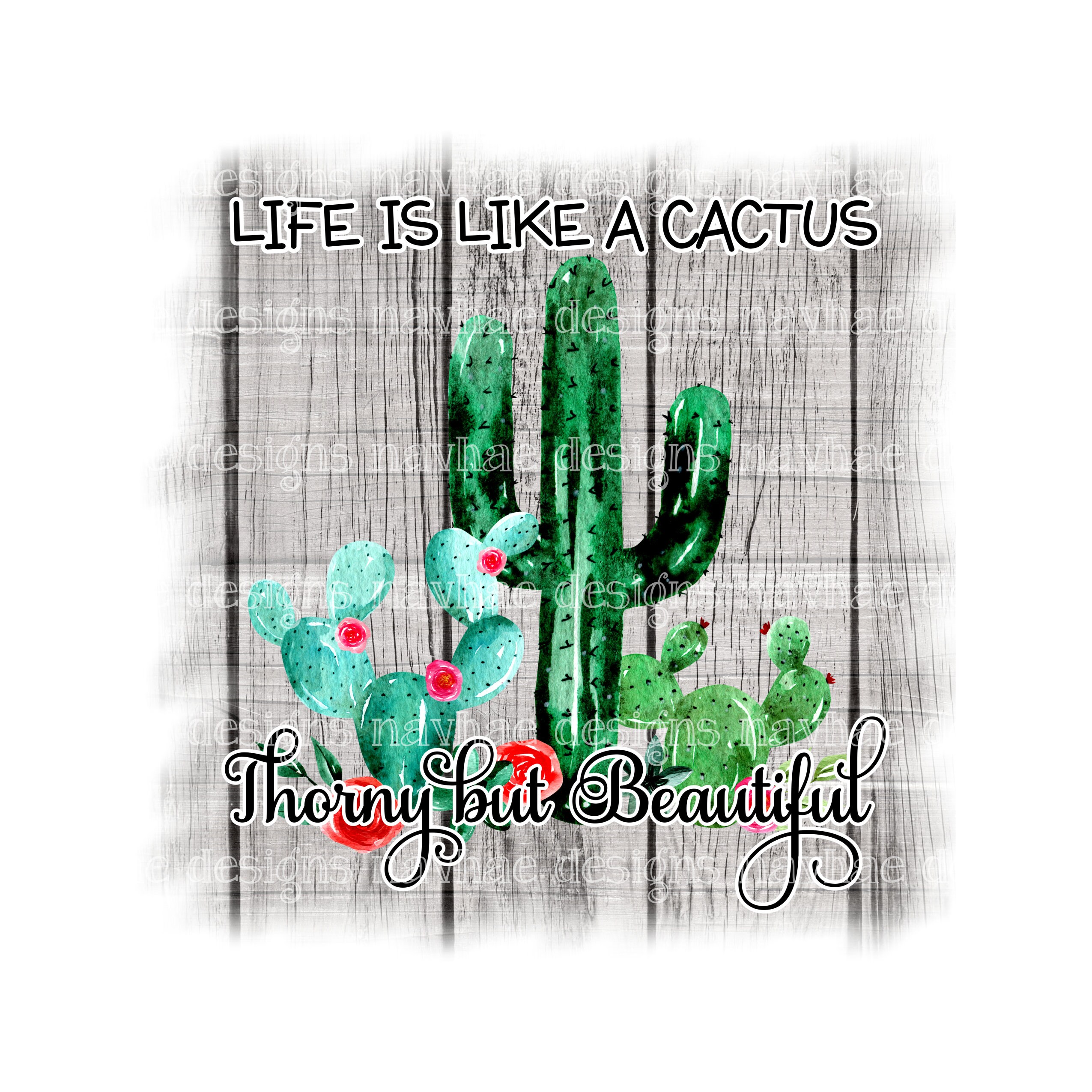 Cactus Cant Touch This, Looking Sharp, Life is Like a Cactus Thorny but ...