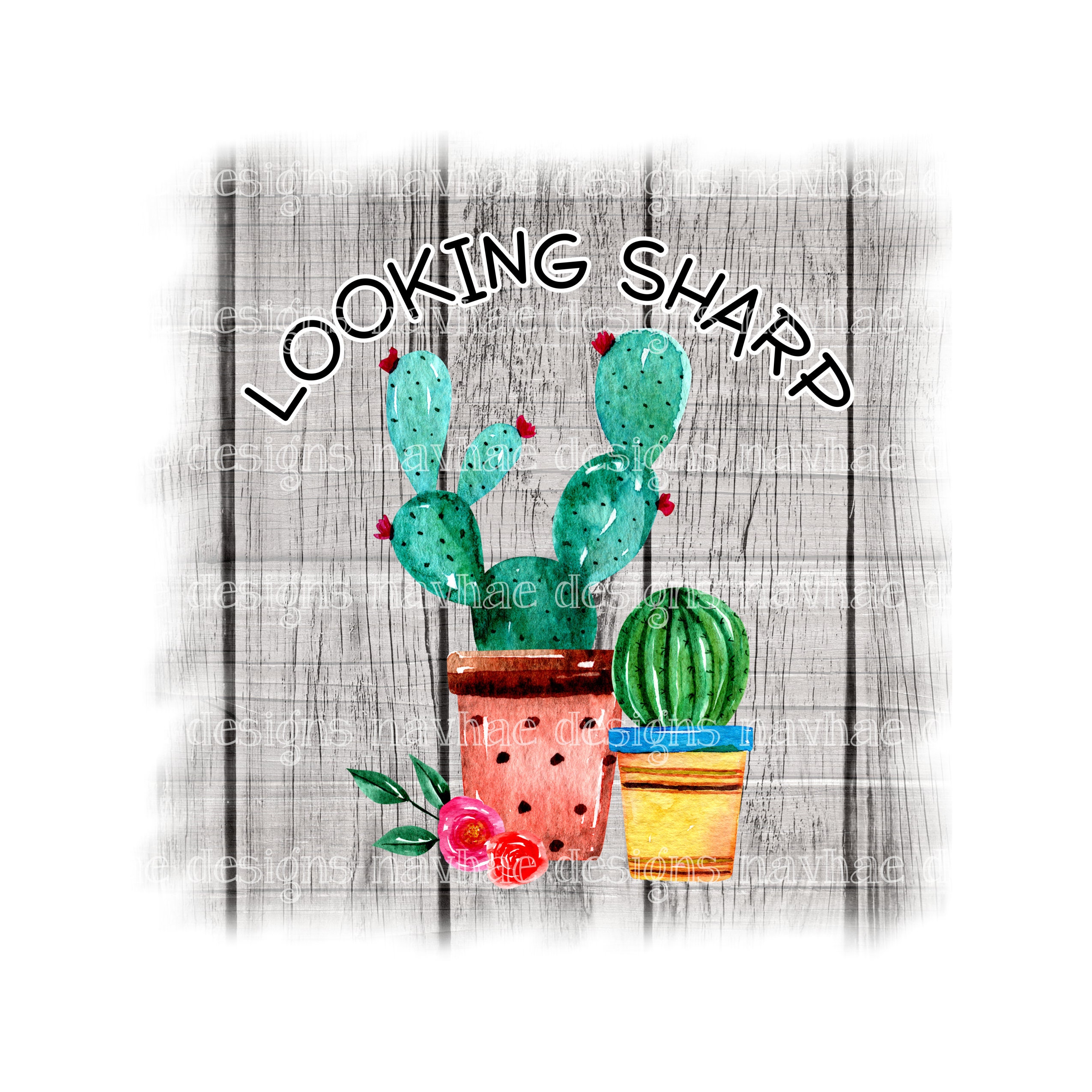 Cactus Cant Touch This, Looking Sharp, Life is Like a Cactus Thorny but ...