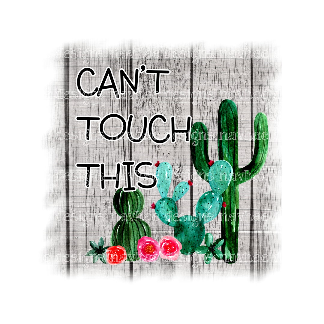 Cactus Cant Touch This, Looking Sharp, Life is Like a Cactus Thorny but ...