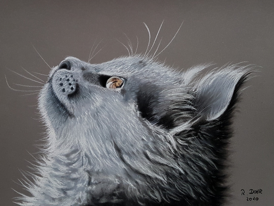 Art Print Gray Cat Drawing Fine Art Print - Etsy