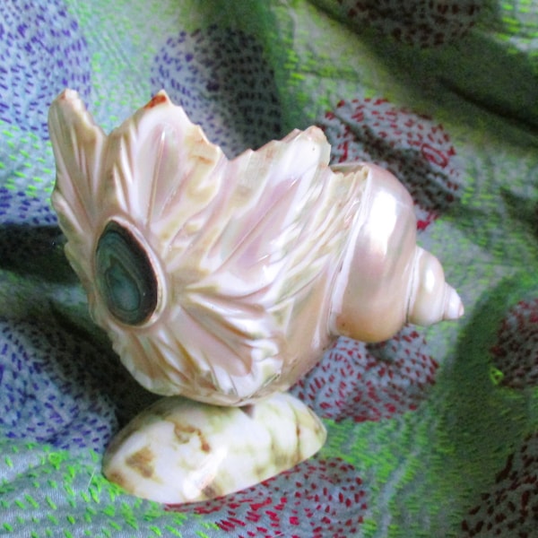 Carved Shell Ring - Etsy