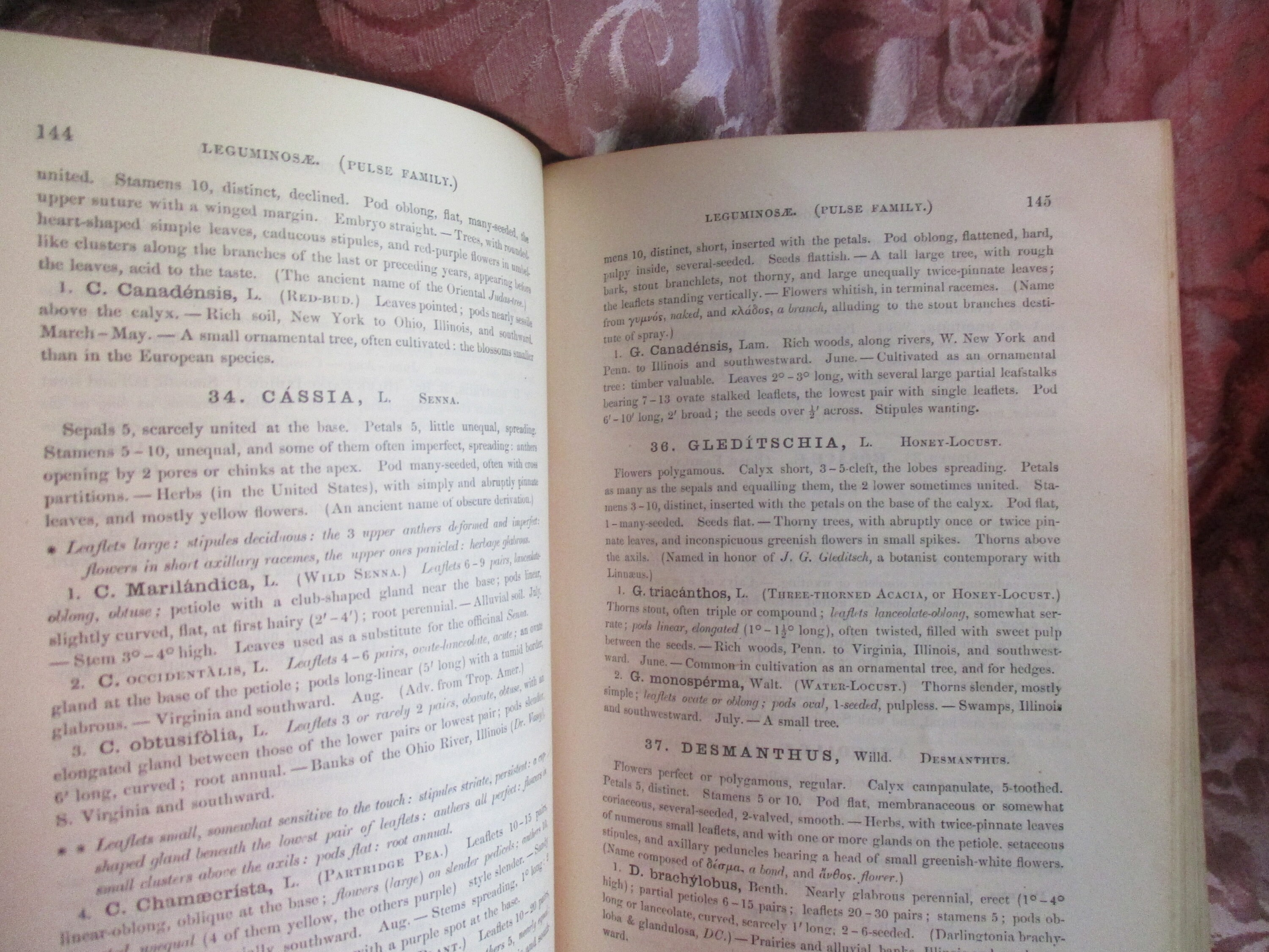 1877 Edition Gray's New Lessons and Manuals of Botany, Harvard ...