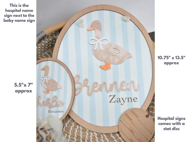 One Silly Goose Hospital Door Hanger Birth Announcement Sign Custom ...