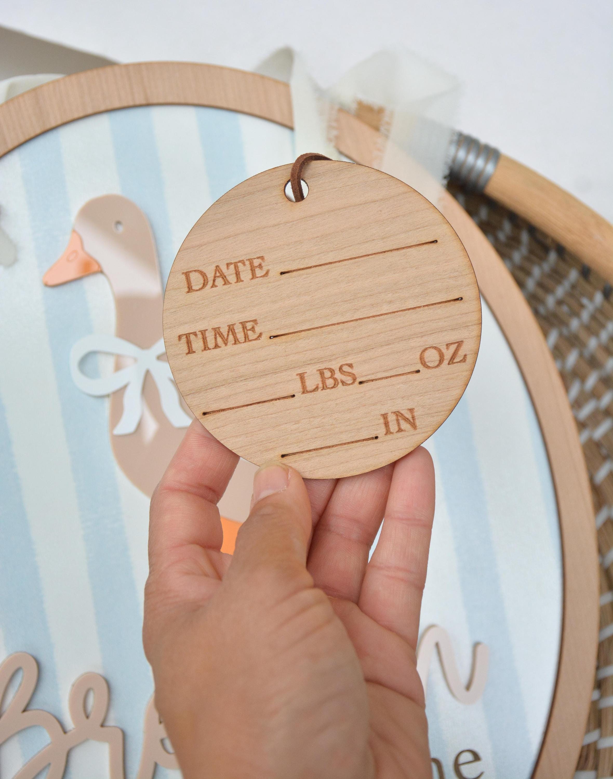 One Silly Goose Hospital Door Hanger Birth Announcement Sign Custom ...
