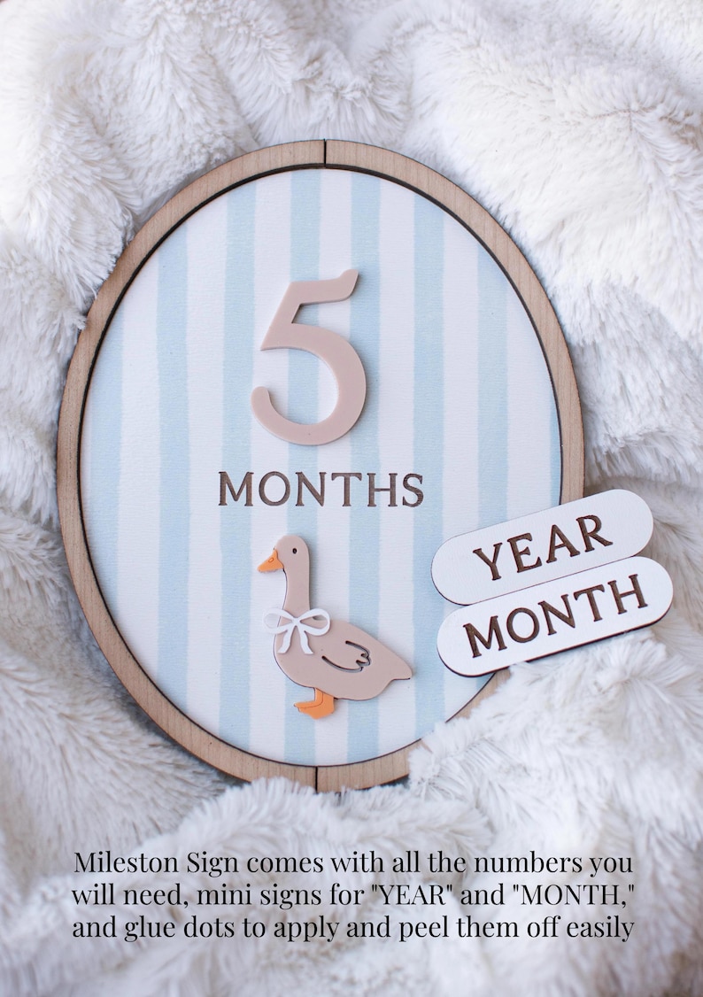 One Silly Goose Birth Announcement Sign for Hospital/ Stat Sign/add ...
