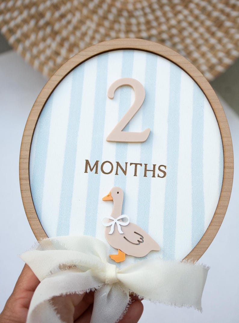 One Silly Goose Birth Announcement Sign for Hospital/ Stat Sign/add ...