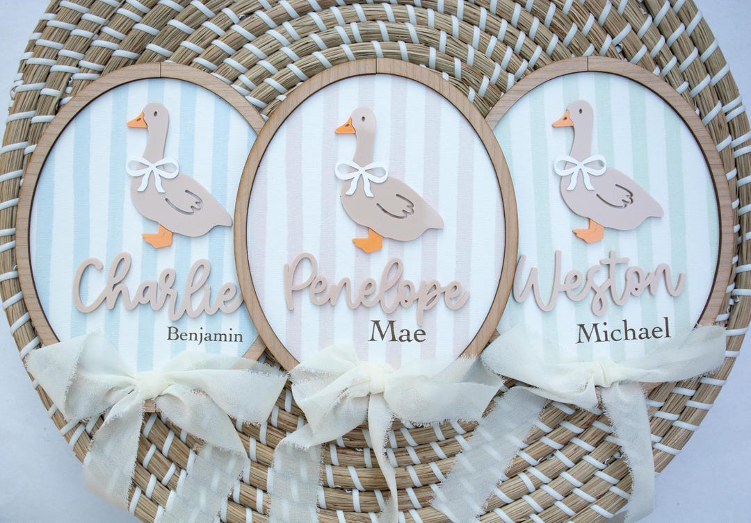 One Silly Goose Birth Announcement Sign for Hospital/ Stat Sign/custom ...