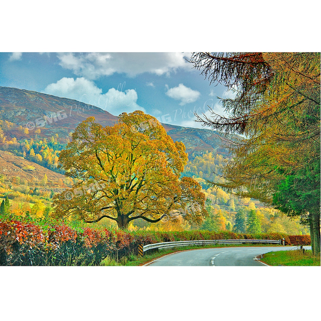 Scotland Photography, Scottish Highlands, Landscape, Autumn, Fall Color ...