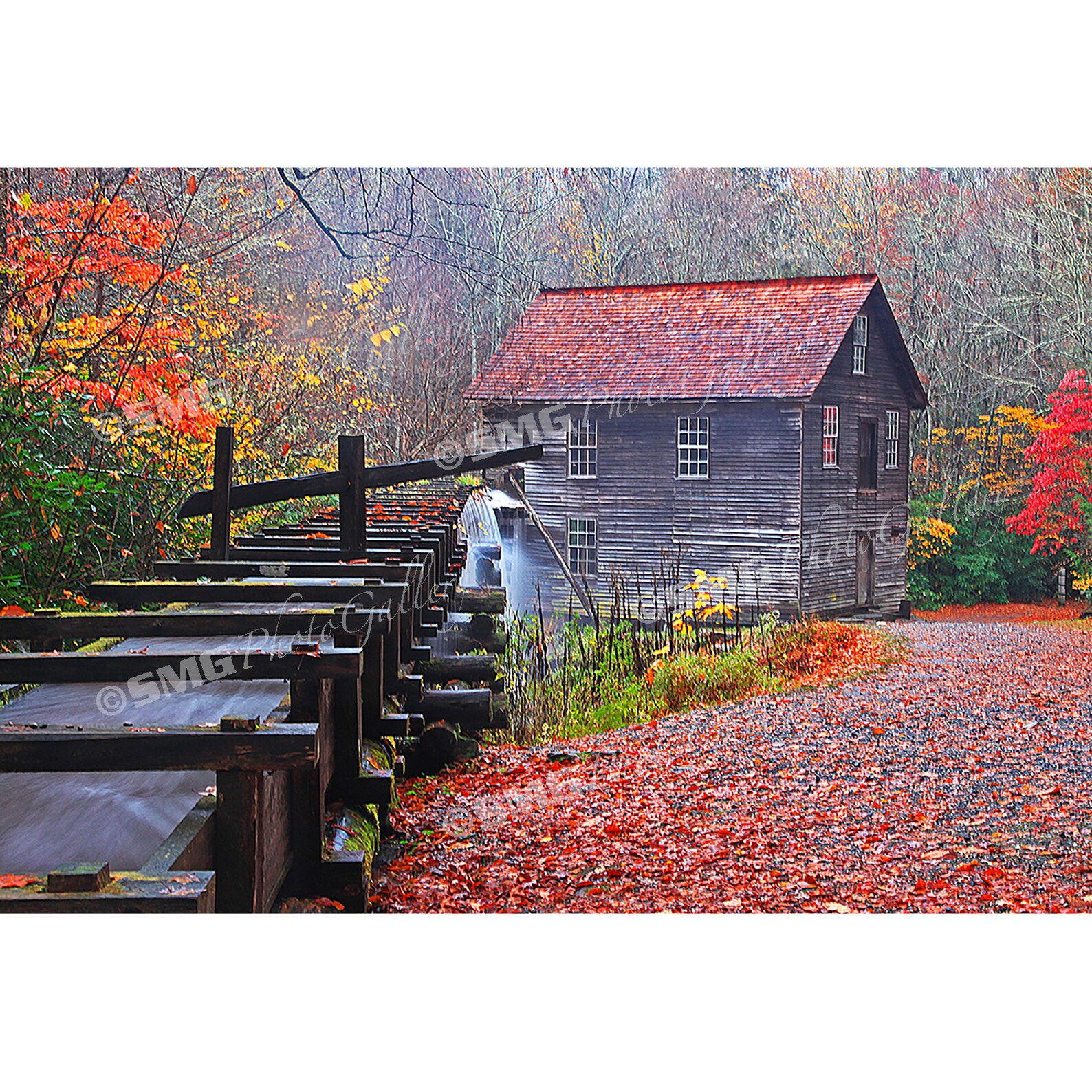 Mingus Mill, Great Smoky Mountains, Autumn, Gristmill, Home Decor, Wall ...