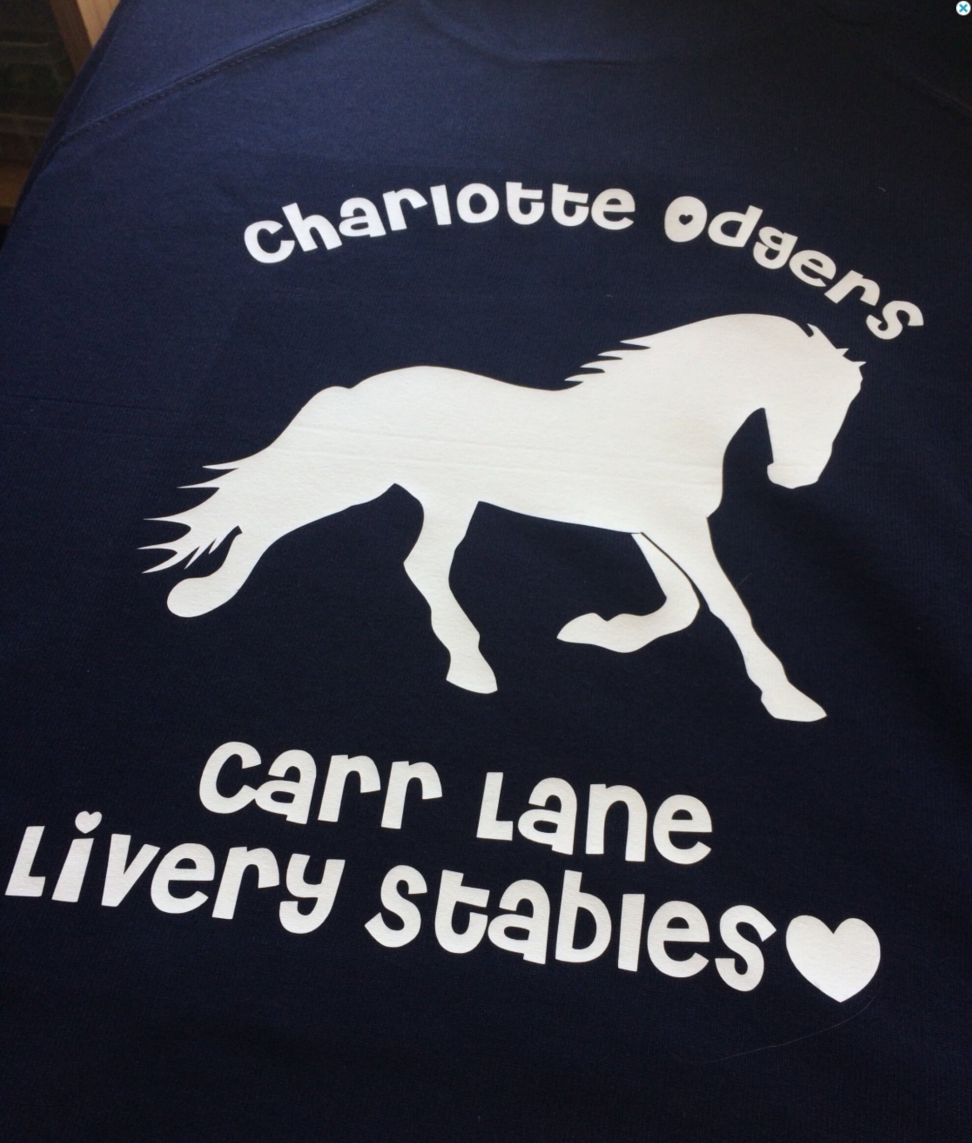 101 Good Catchy Horse Farm Slogans Brandongaillecom